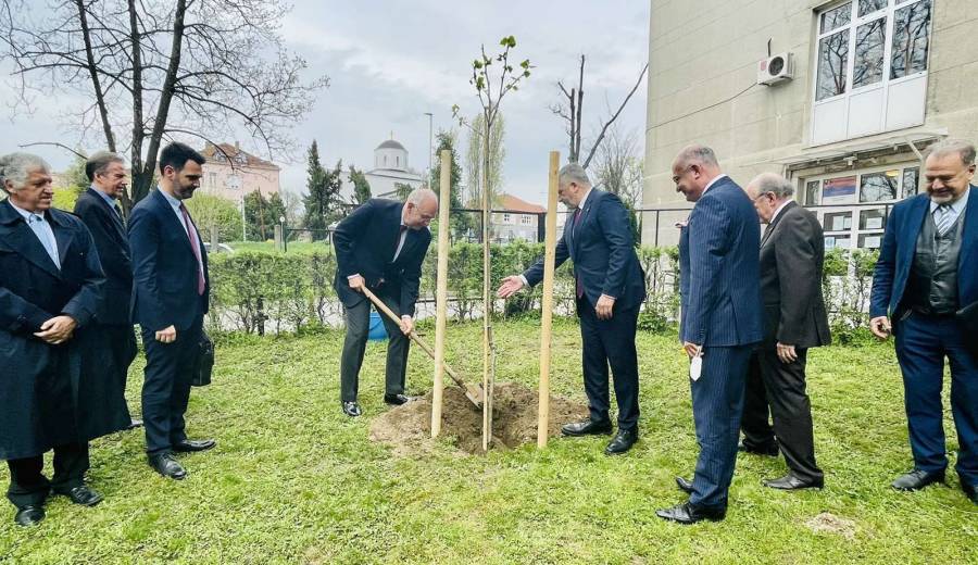 ΕΚΔΗΛΩΣΗ ΤΙΜΗΣ ΓΙΑ ΤΟΝ ΙΠΠΟΚΡΑΤΗ ΣΤΟ ΤΜΗΜΑ ΙΑΤΡΙΚΗΣ ΤΟΥ ΒΕΛΙΓΡΑΔΙΟΥ ...